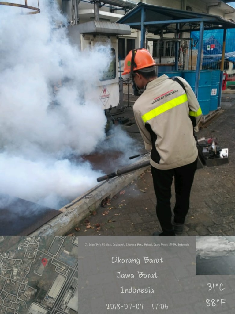 PEST CONTROL di Indonesia TERBAIK & PROFESIONAL - Remapest - PT Resik ...